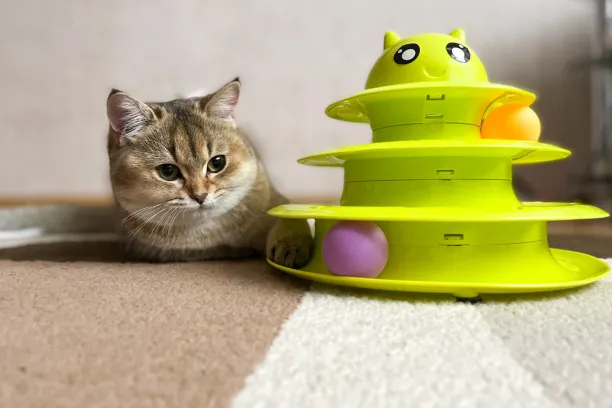 Pet Care & Expert Tips | Best Practices for a Happy, Healthy Pet